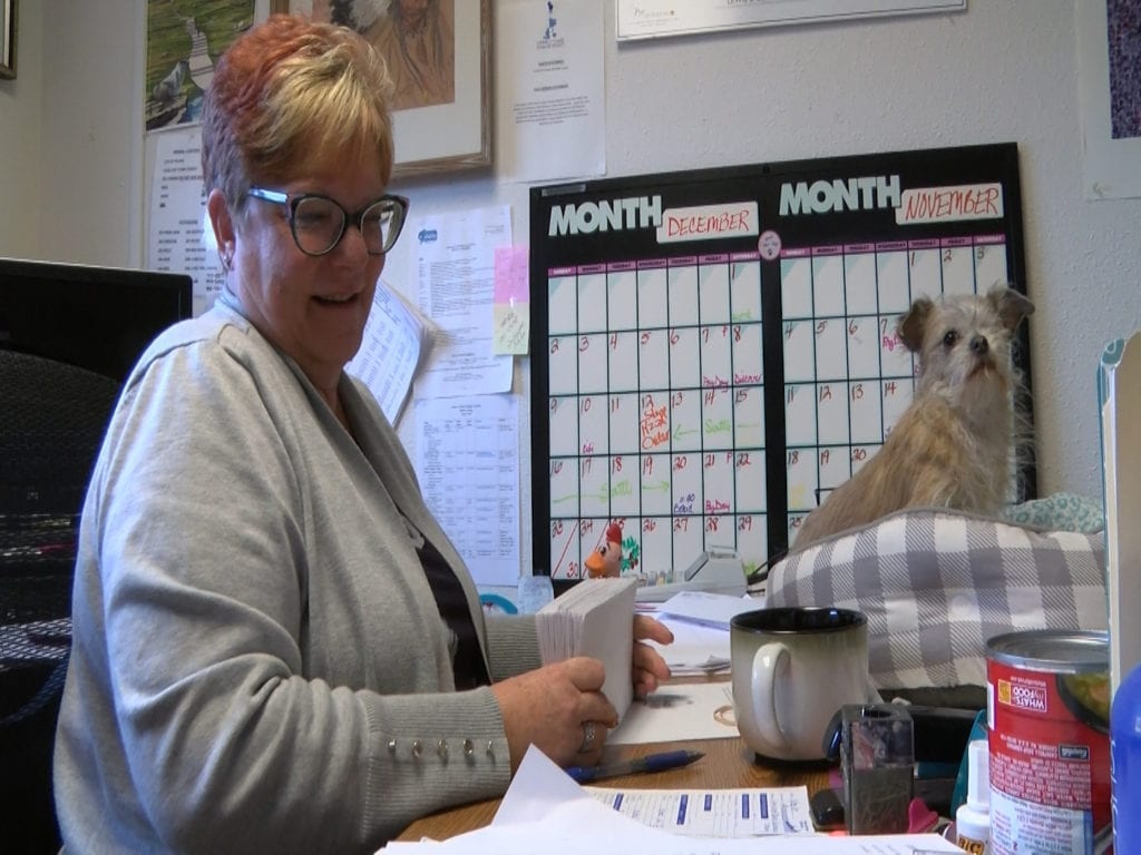 Animal shelter work often physical and mentally demanding