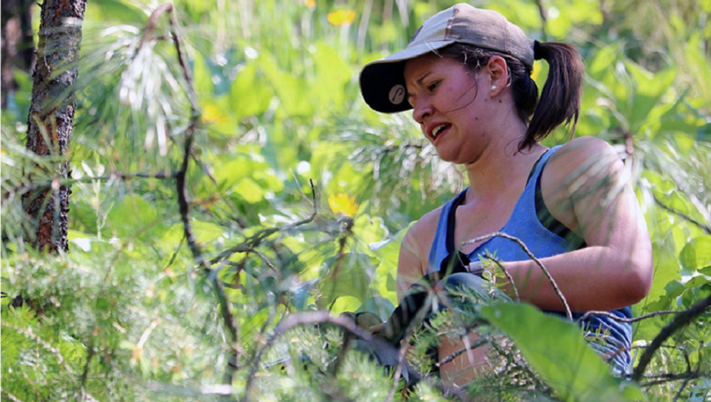 “Born of fire:” Volunteers restore forest health on Dean Stone during ...
